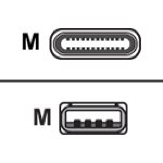 Poly USB/USB-C Data Transfer Cable (2200-49795-001) - Lion City Company